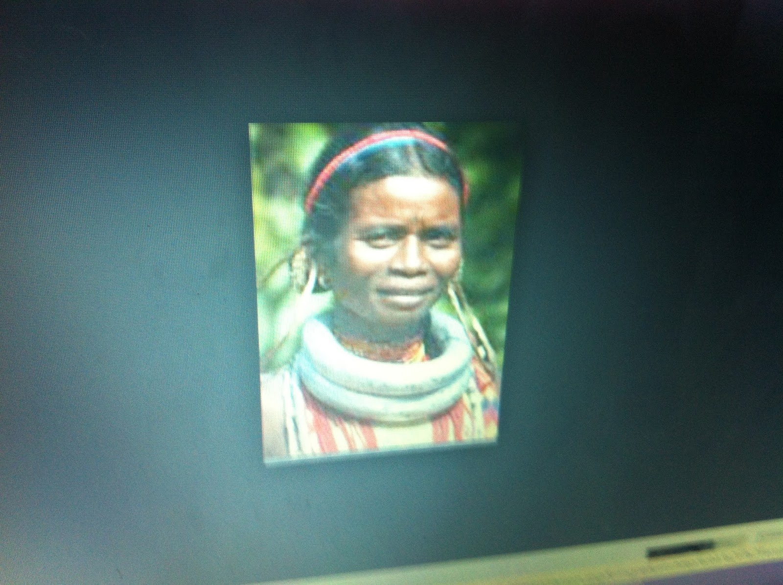 THE BLACK SOCIAL HISTORY:: BLACK SOCIAL HISTORY - THE GONDI PEOPLE OR ...