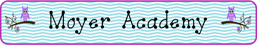 Moyer Academy: Camp Wonderopolis