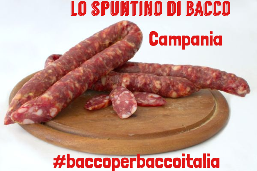 BACCO PER BACCO ITALIA: #baccoreuniondeltadelpo NEL CUORE DELLA NATURA ...