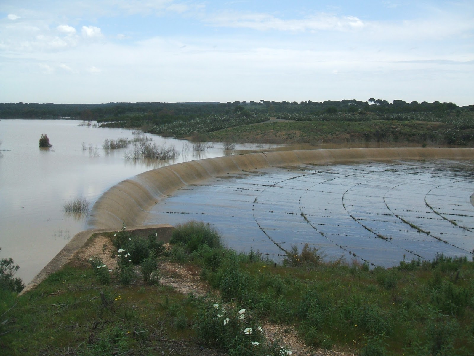 LOS TROPEZONES: Salida hacia el pantano de los machos