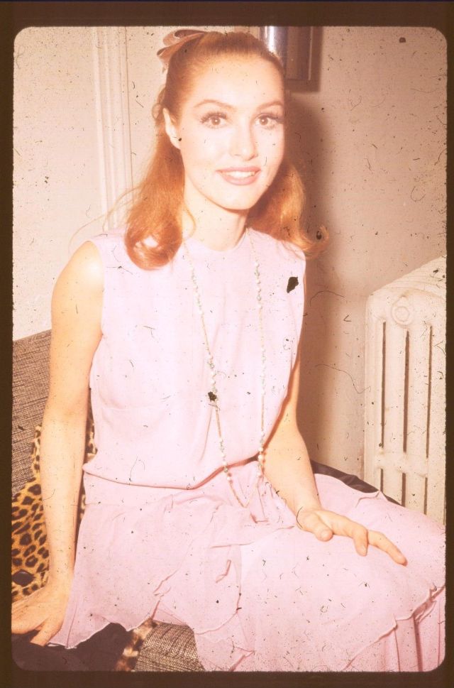 36 Interesting Snapshots That Capture Everyday Life of American ...