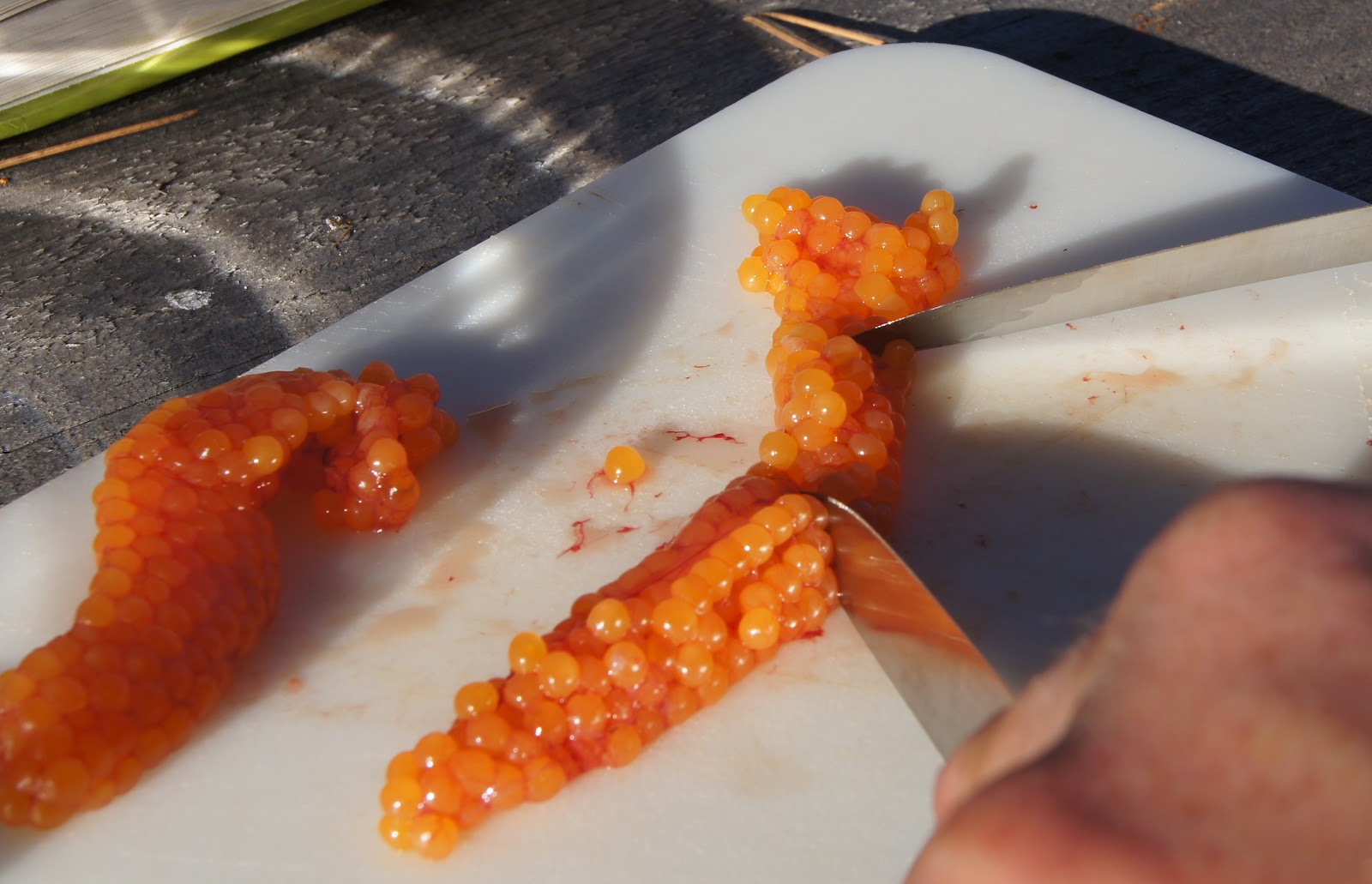Trout Caviar: How to Make Trout Caviar