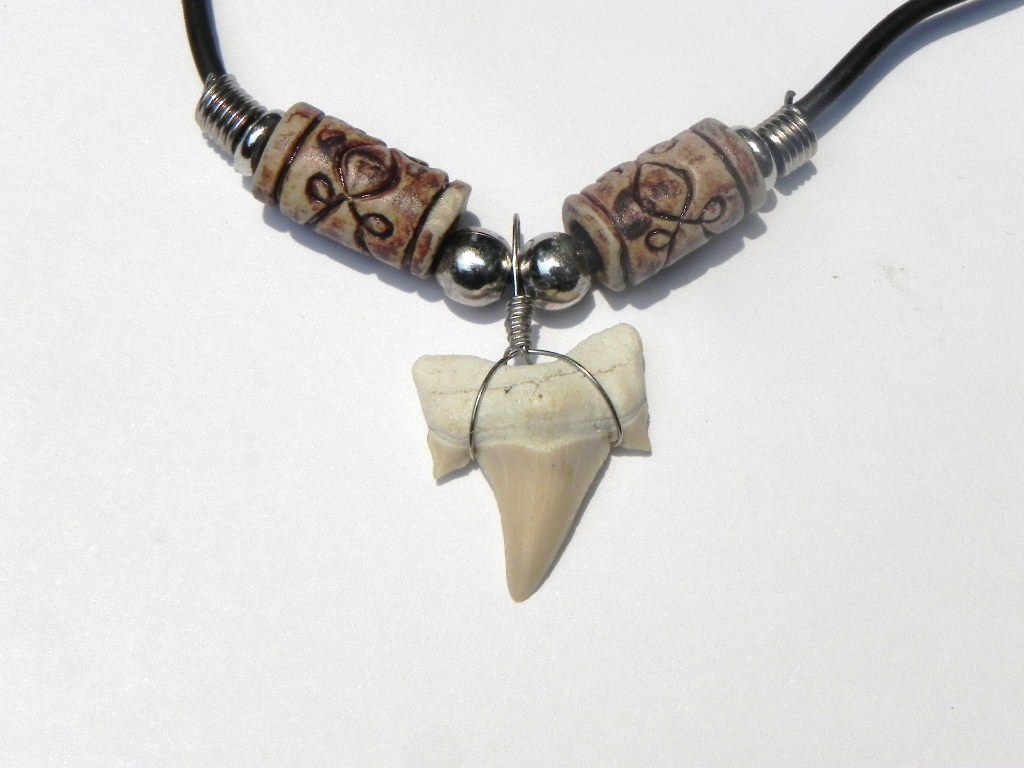 And I Think to Myself...What A Wonderful World.: Shark Week/Bio-Art ...