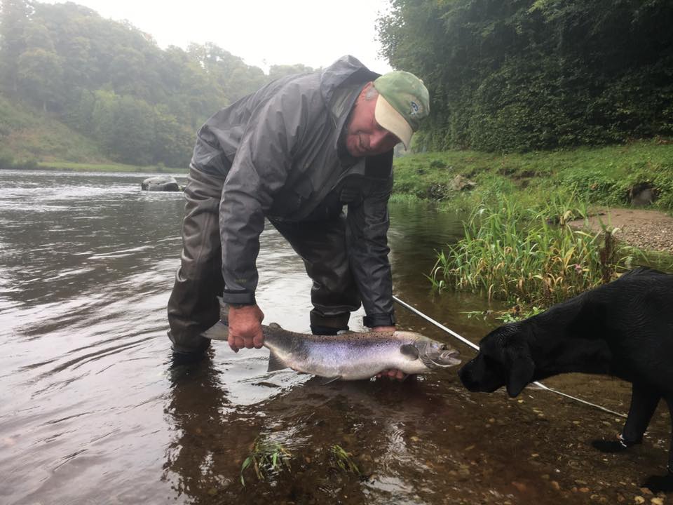 Salmon Fishing Scotland.: Salmon Fishing Scotland Tay, Perthshire ...