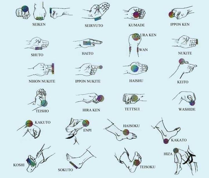 JKA NIKKEY ASSOCIACAO ARAPONGUENSE: Posições - Dachi e Golpes (Tecnicas ...