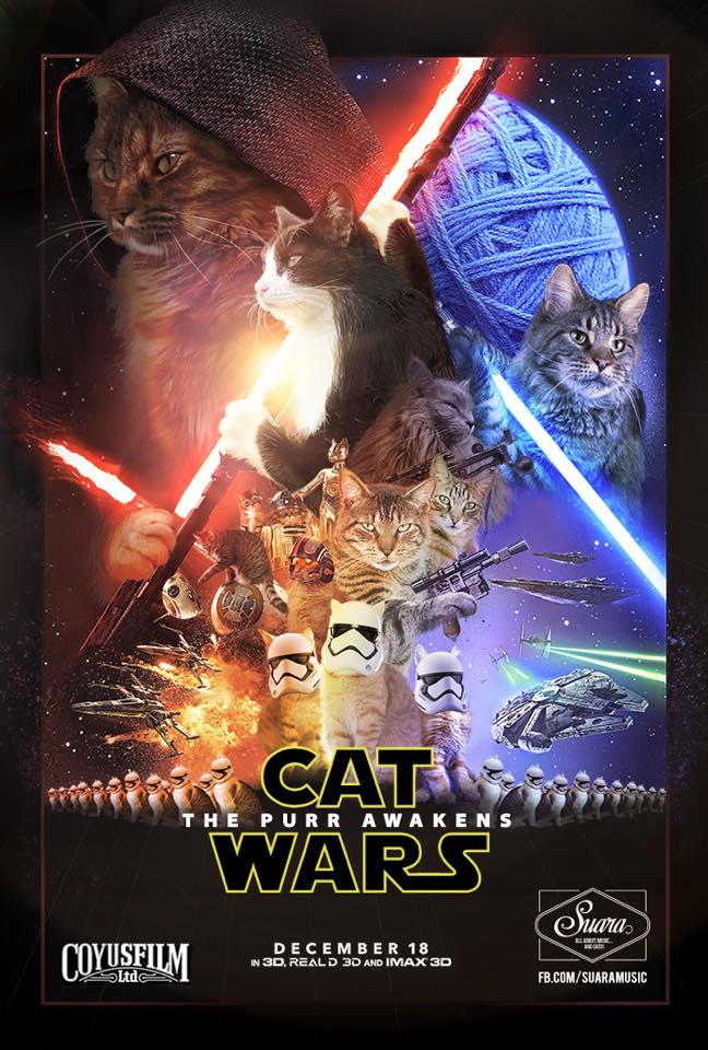 Cat Wars ~ Espadas y Dados