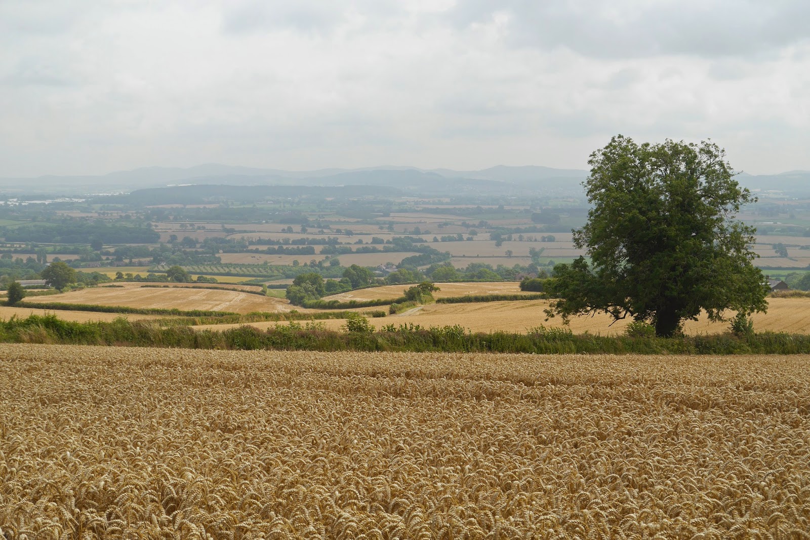 Walking in the country: Woolhope Dome