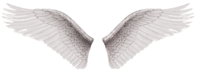 Mundo do PhotoScape: Diversas Asas