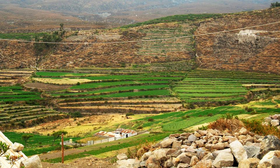 Chiguata Smart Business: Campiña y Andenería de Chiguata