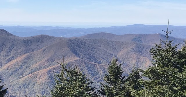 ^Living in Black Mountain, NC: On the lookout platform at Mt. Mitchell