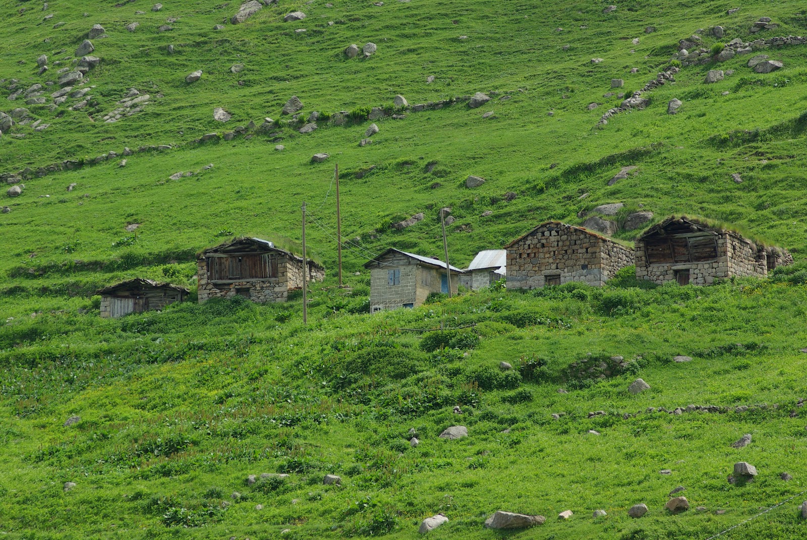 İntor Yaylası: Rize Yaylaları