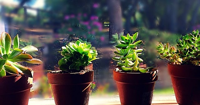 Unsur Tanah, Air, Api Dan Angin Dalam Menilai Personaliti Diri