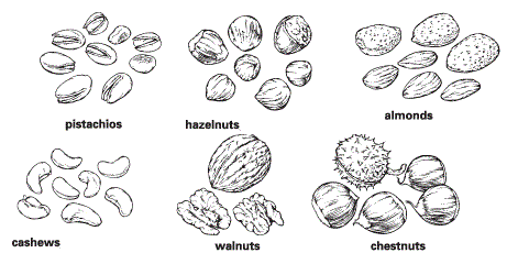Let's Learn English: Fruits & Nuts