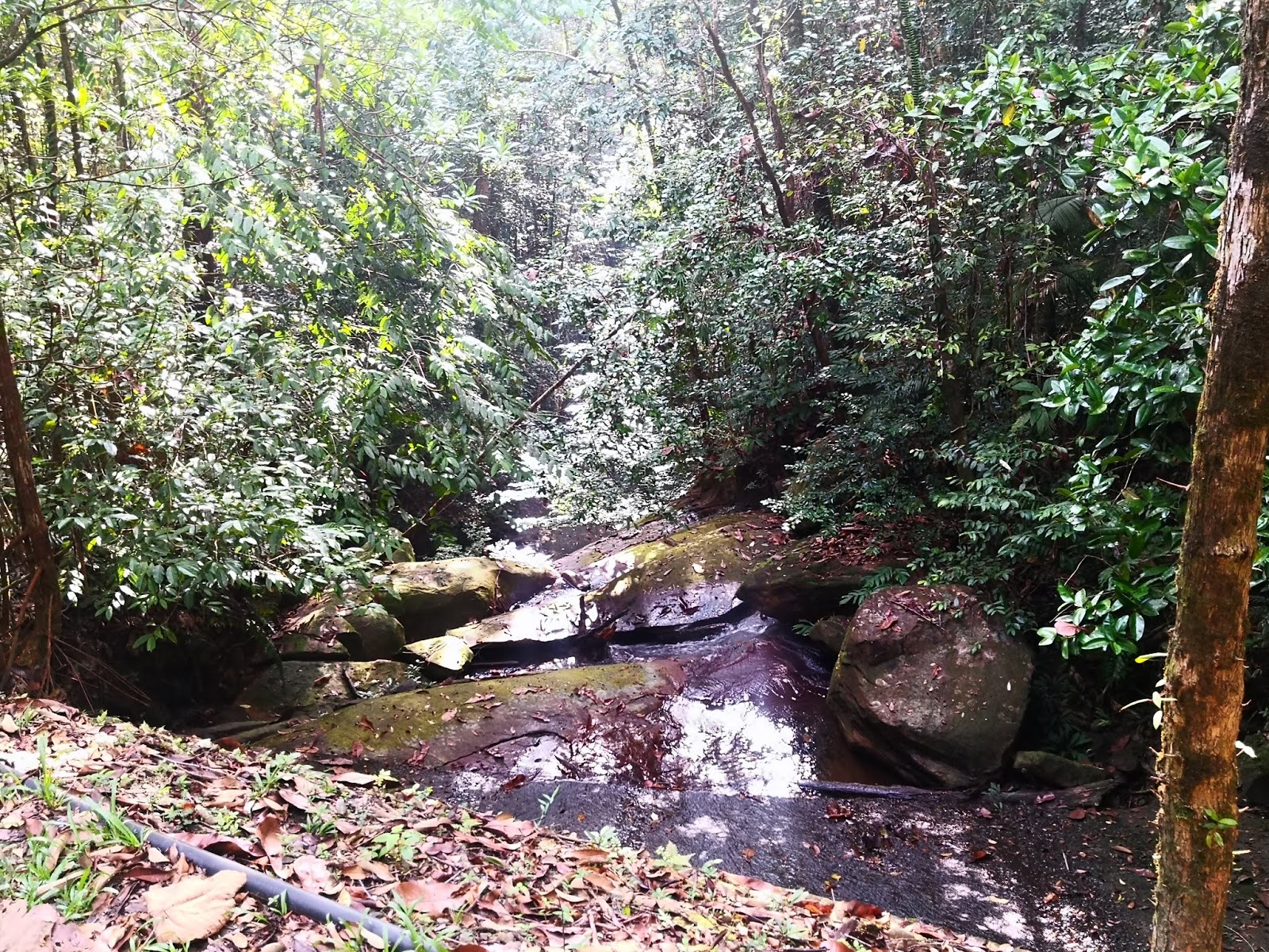 AZLAN RUMADI: HUJUNG MINGGU HIKING DI GUNUNG SERAPI, KUBAH NATIONAL ...