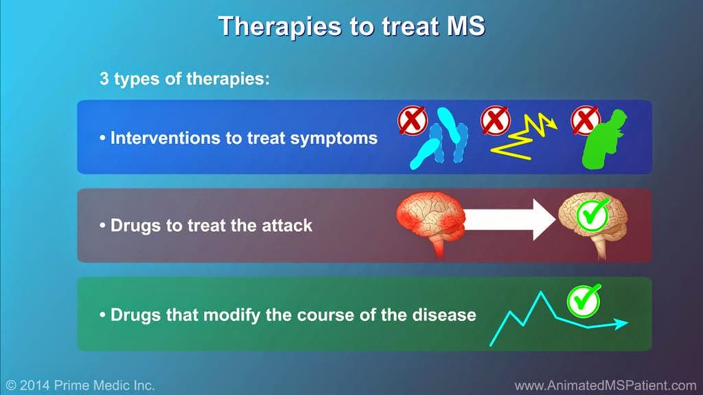 MS Fact Sheet: Multiple Sclerosis Fact Sheet