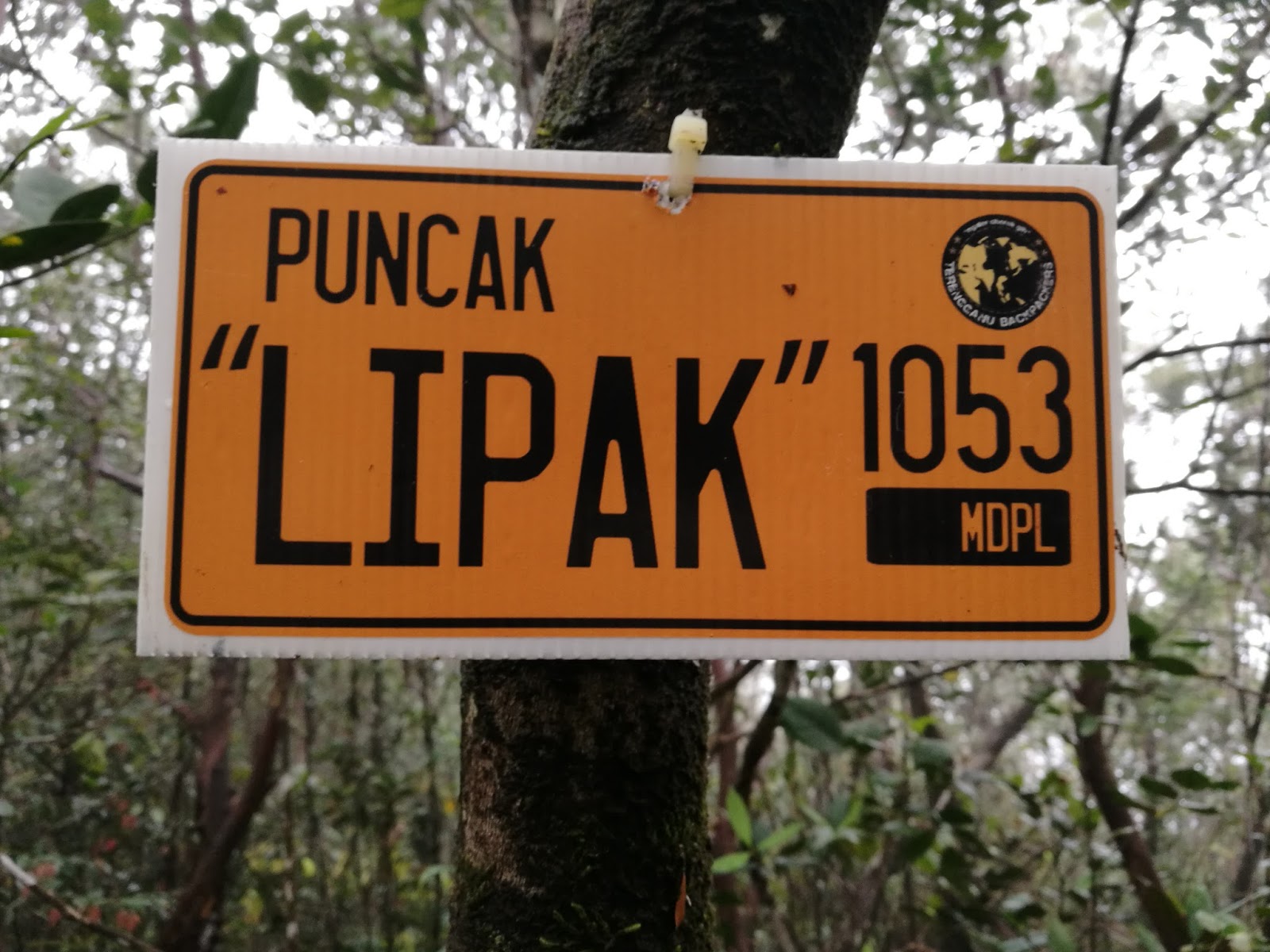 Gunung Terengganu: Gunung Sarut 1229mdpl