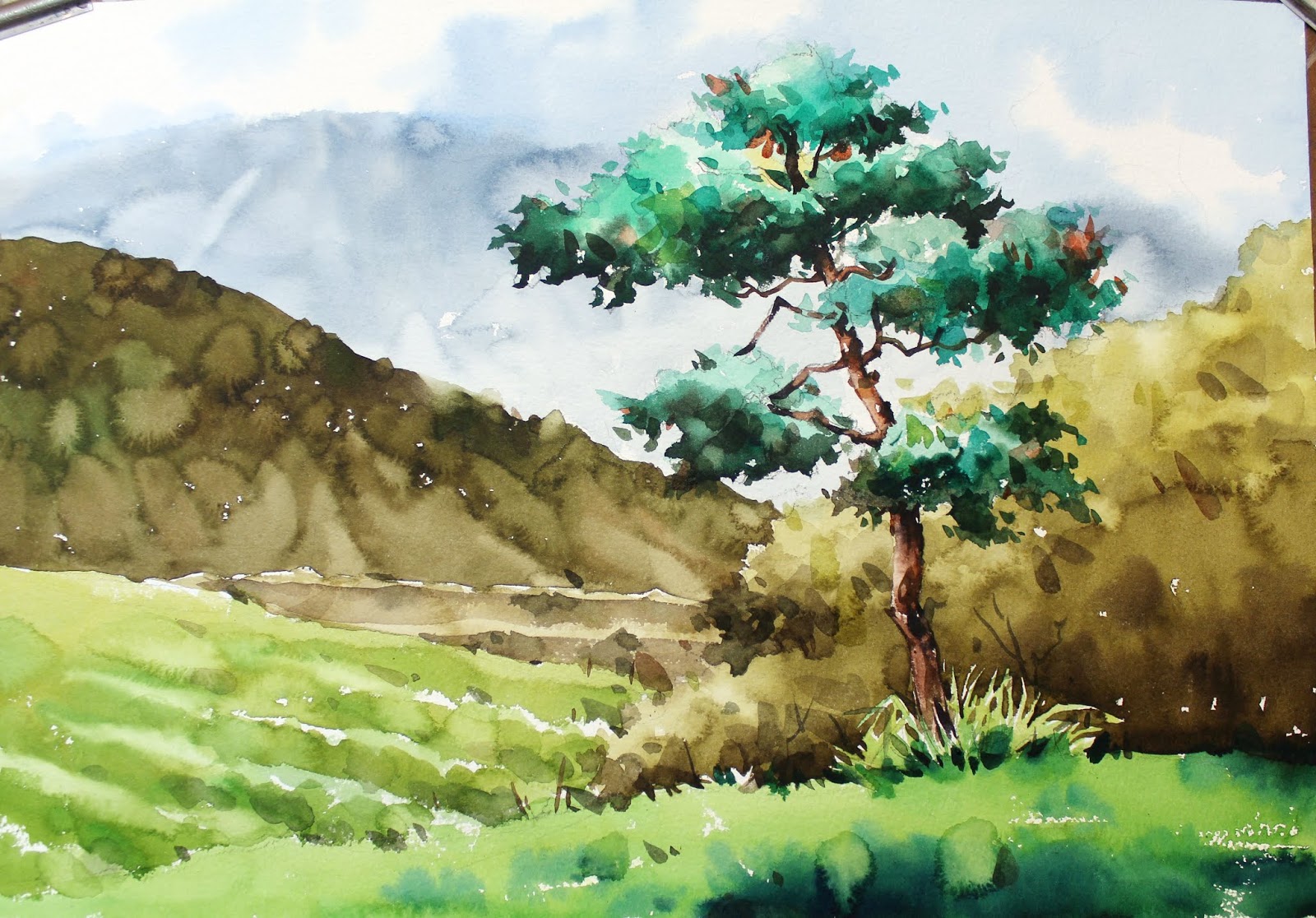 NAMIL ART: [watercolor step by step] Pine landscape - Basic Landscape ...