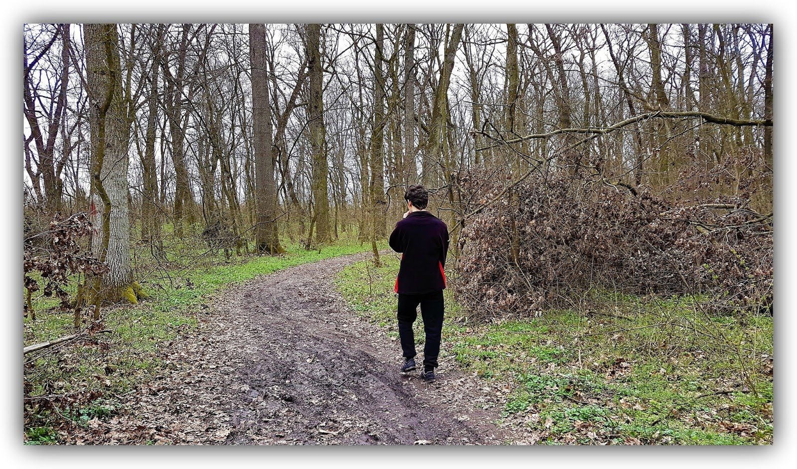 O plimbare prin padure