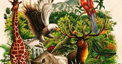 Zoología : ¿Que es la Zoología?