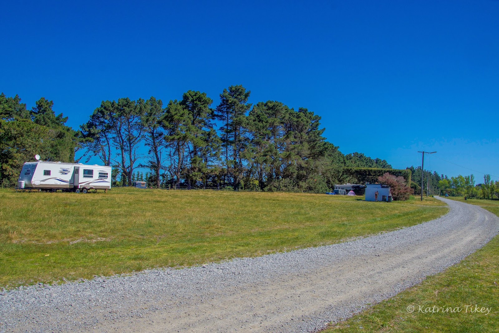 Paws Awhile: Lakeside Domain - Lake Ellesmere