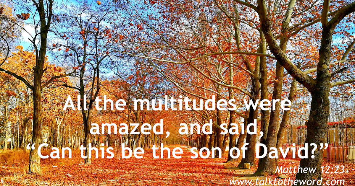 Matthew 12:23