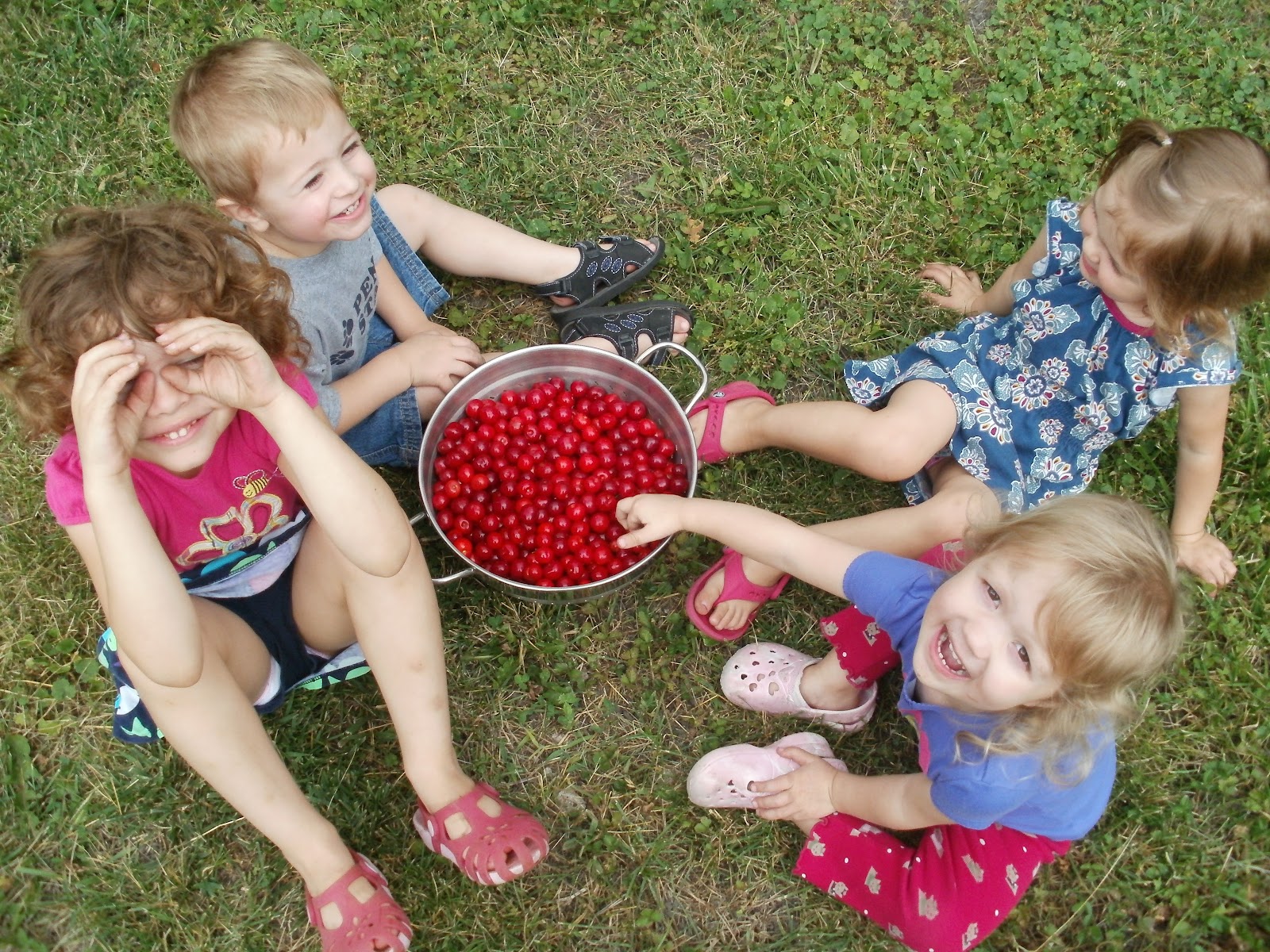 Little Stars Learning: Cherry Picking and Child-led Learning