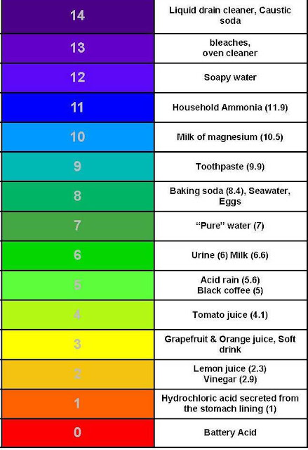 Science Speed Revision: F2C5 Part 2: Acid and Alkali and everything ...