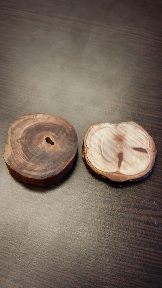 Kayu Warisan Malaysia: Raja kayu putih dan raja kayu merah