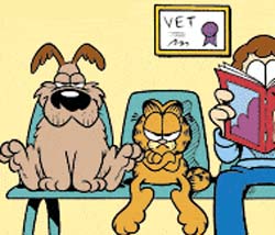 Veterinary Rescuer: The Last One is A Zinger!