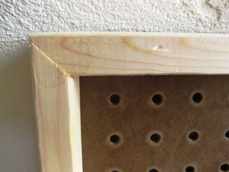 Life Colloquy: Plinko Board