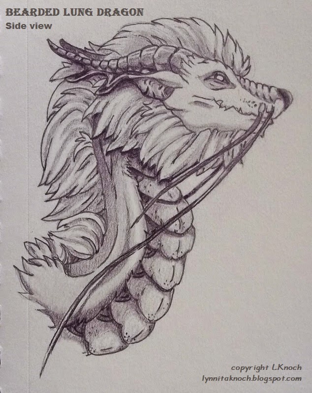 Dragon Head Side View Drawing