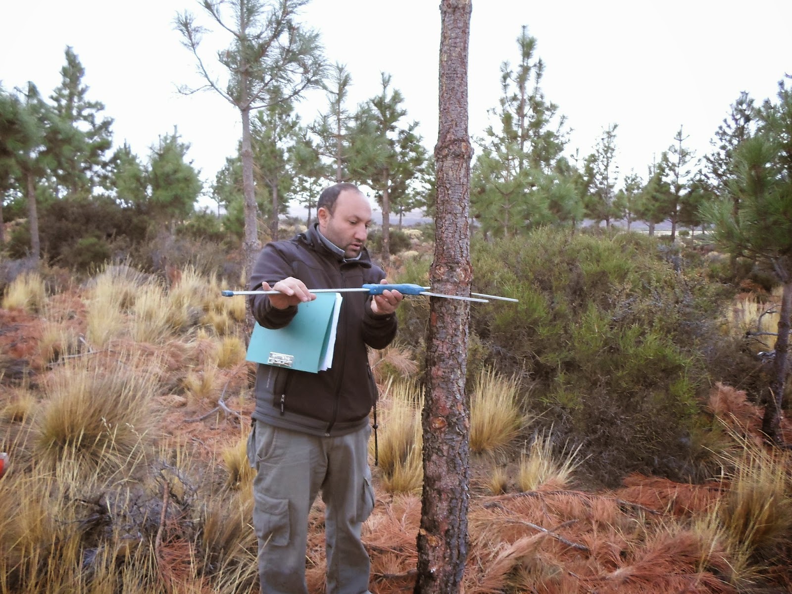 Patagonia Andina Forestal: Inspecciones conjuntas Subsecretaría de ...