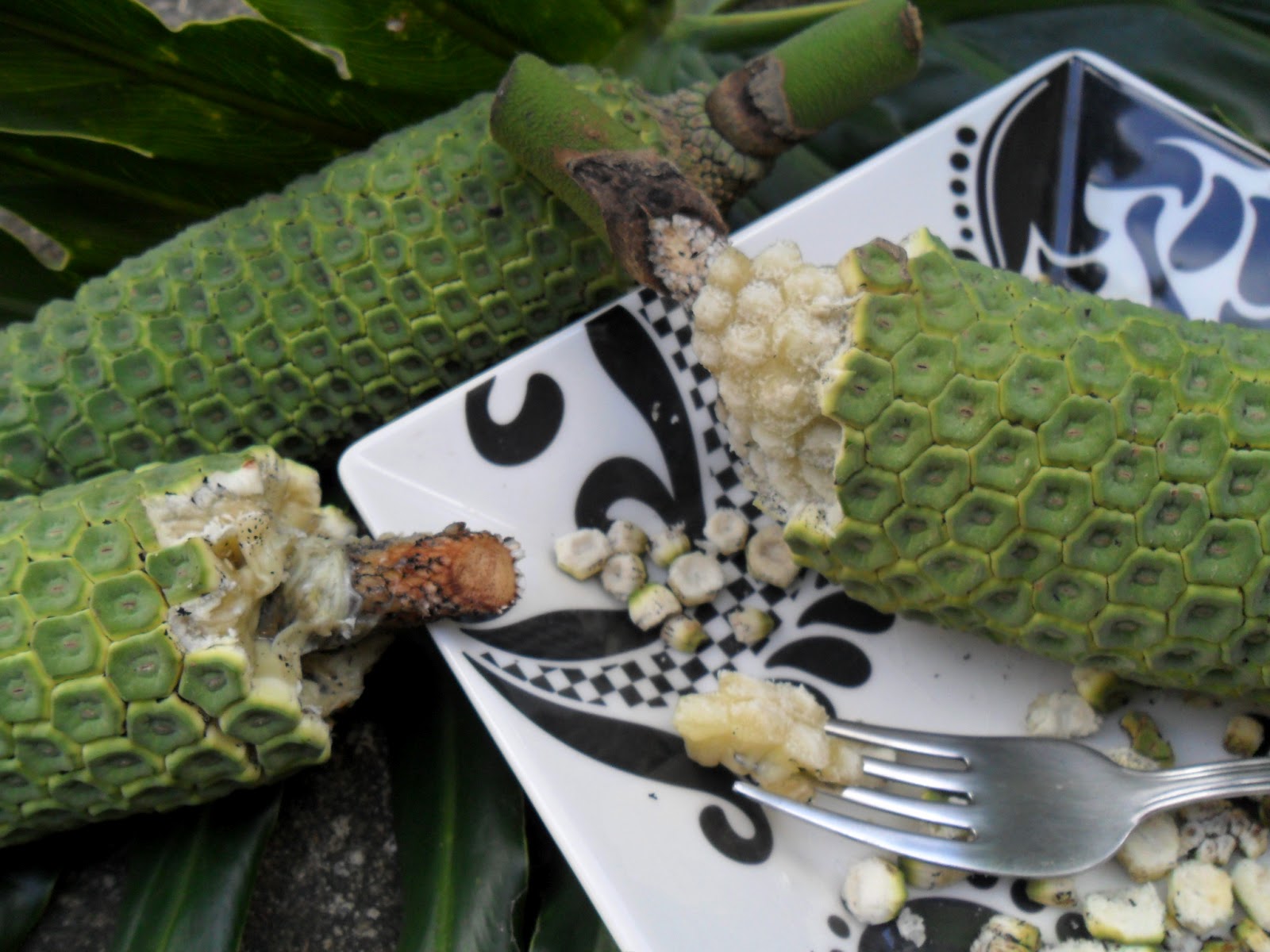 Birosca da Flor: Do jardim para mesa: Banana ananás