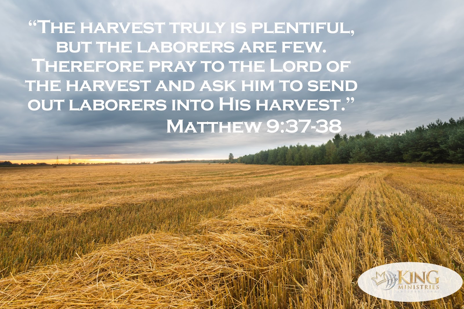 King Ministries International: The Harvest is Plentiful but the ...