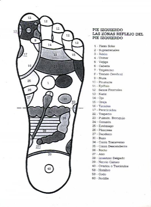 MASAJE y TERAPIAS: Mapas reflexologia podal