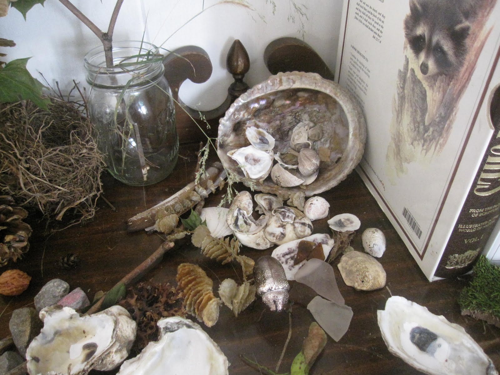 Twinkling Along: The Nature Table