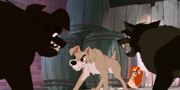 Lady And The Tramp Dogs Fight