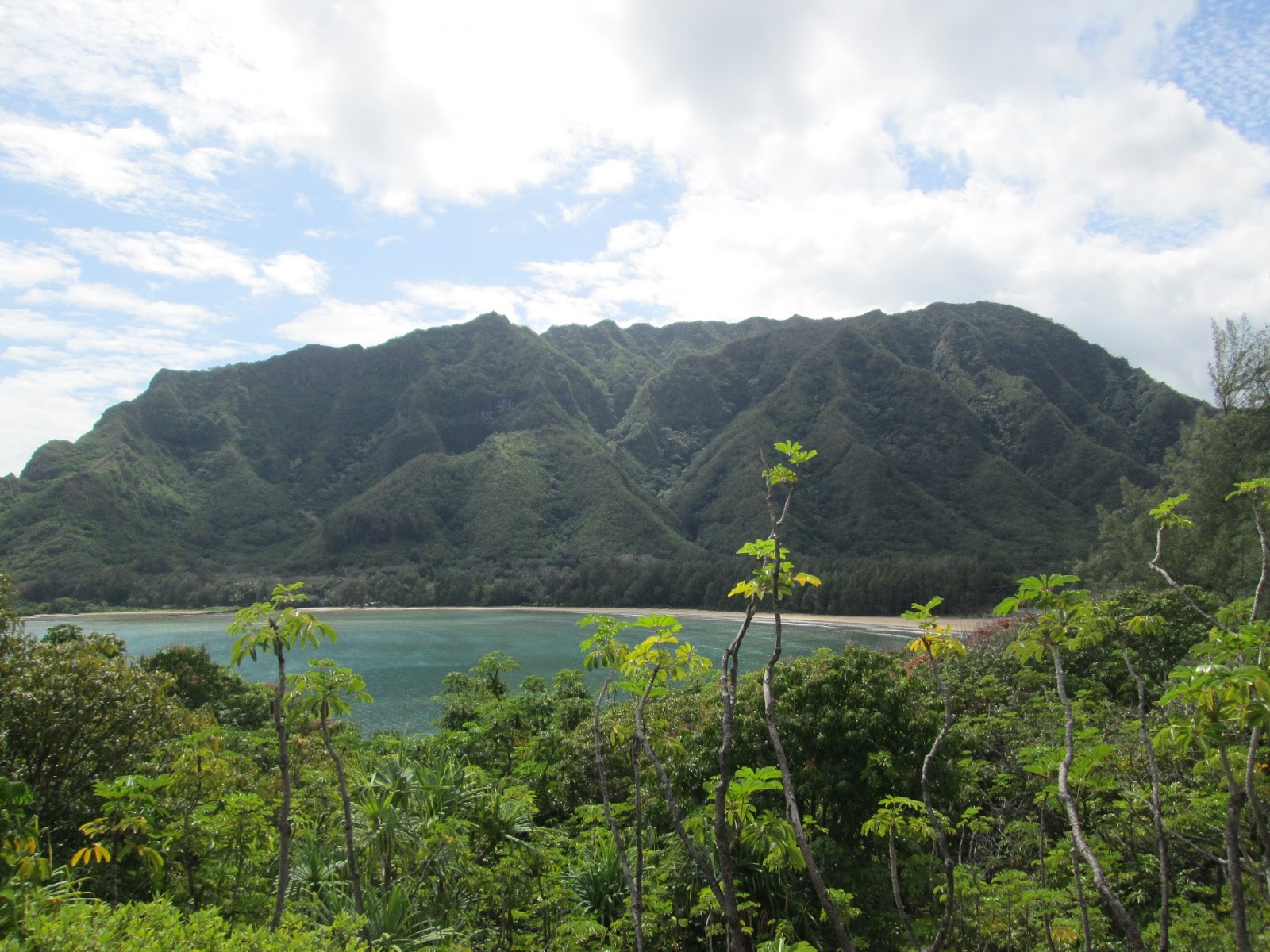 Aloha On My Mind: Aloha to the Kapa Ele'ele Trail