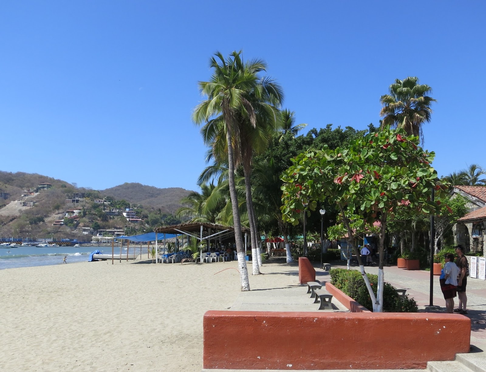 Here we go again......!: At La Playa Troncones, Guerrero, Mx