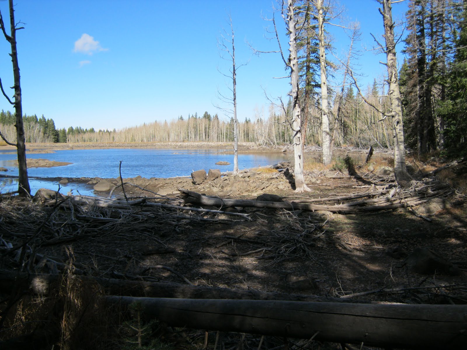 gjhikes.com: Griffith Lake