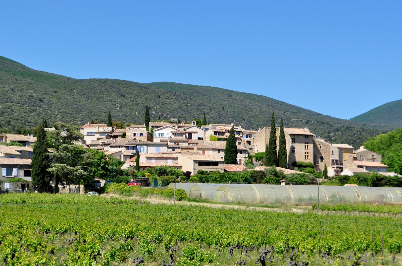Our House in Provence, the Most Beautiful Region of France: Vaugines, a ...
