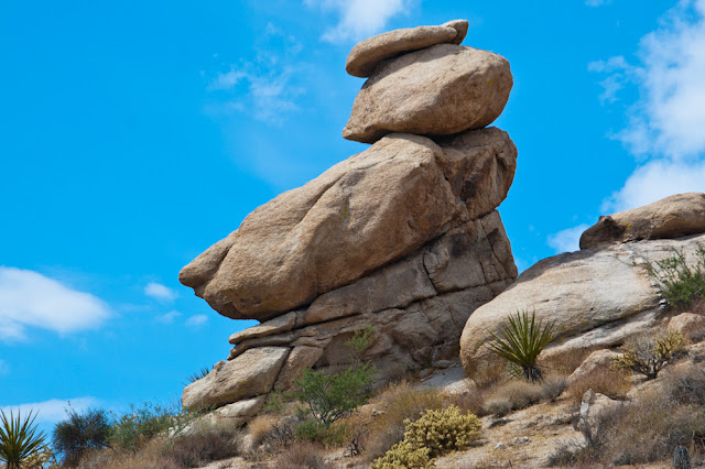 DalmDad's Photo and Travel Blog: Merry Christmas Tree Pass