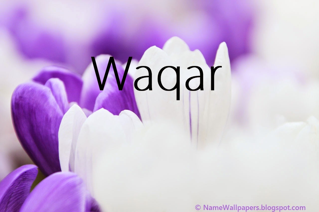 Waqar Name Wallpapers Waqar ~ Name Wallpaper Urdu Name Meaning Name ...