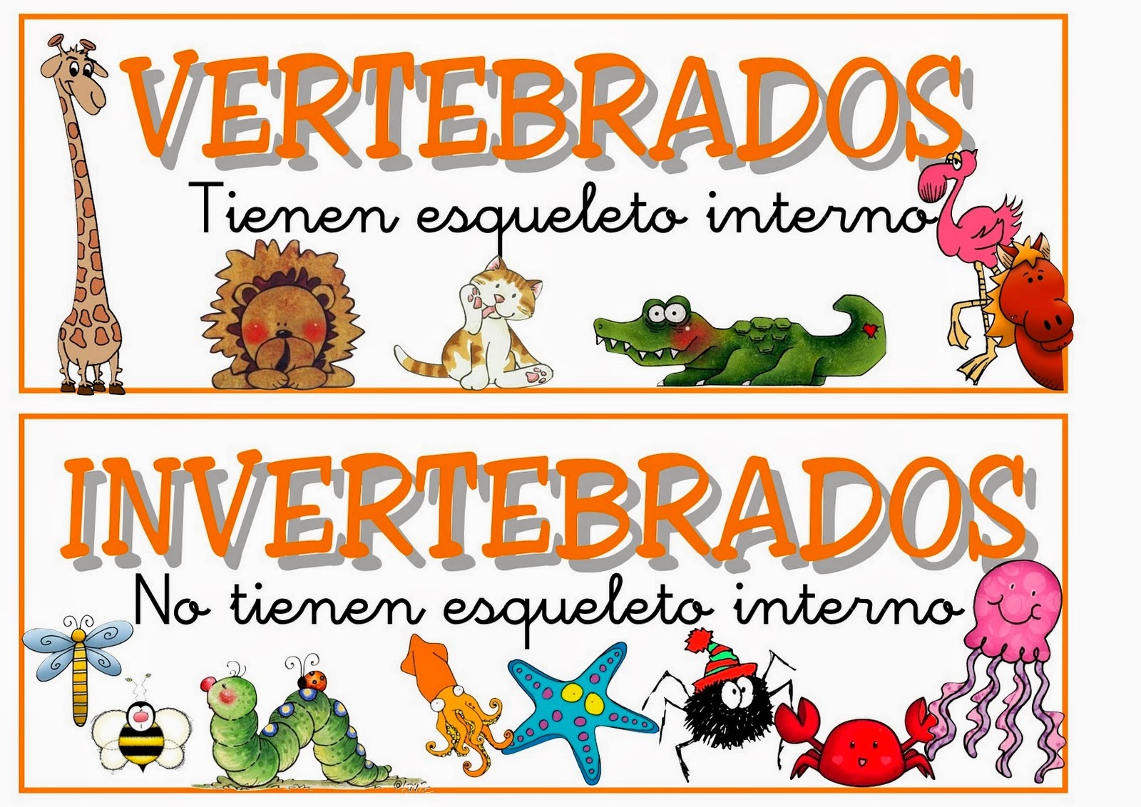 LOS ANIMALES VERTEBRADOS E INVERTEBRADOS