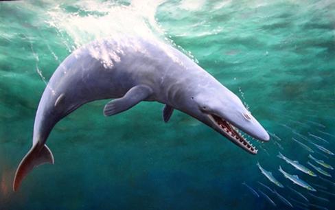 Blog de la Vida Prehistórica: Protocetus