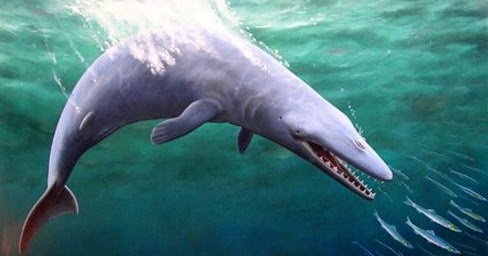 Blog de la Vida Prehistórica: Protocetus