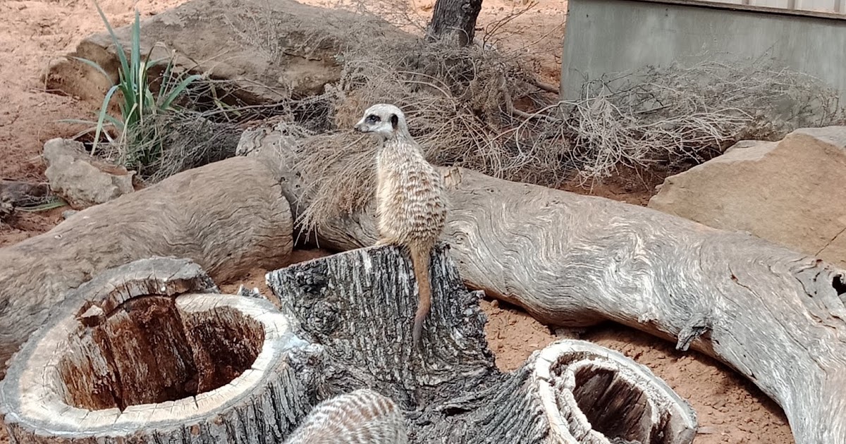Monarto Zoo ~ Simple Everyday Living