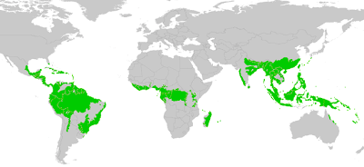 Ciencias de Joseleg: 5 LA SELVA HÚMEDA TROPICAL