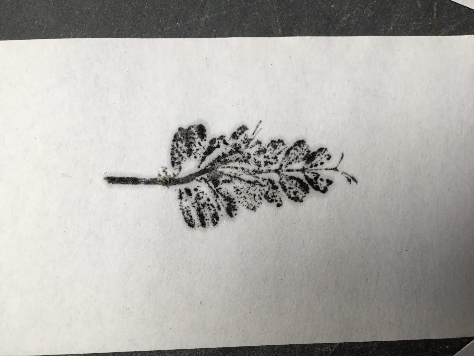 News From Oak and Beech Class: Charcoal printing