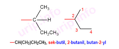 Tata Nama Hidrokarbon dengan Cabang yang Bercabang, Rantai Samping ...